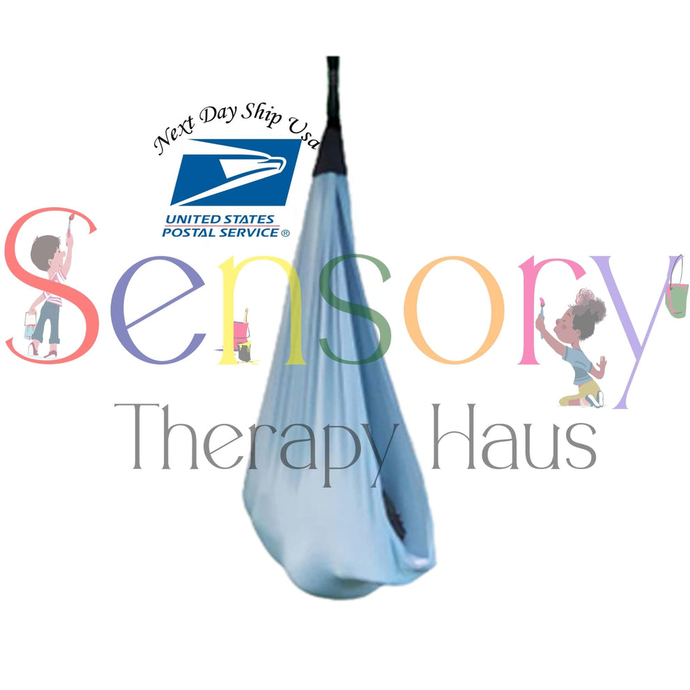 Sensory Swing – Sensory Therapy Haus